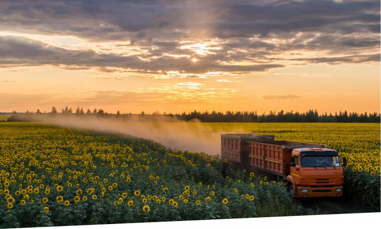 AOM | Advanced Organic Materials | The Purity of Natural